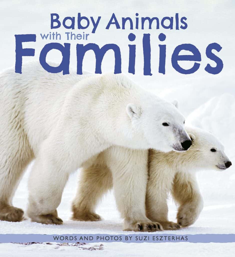 Kids Books: Animal Families - Barbara Lowell Children's Book Author